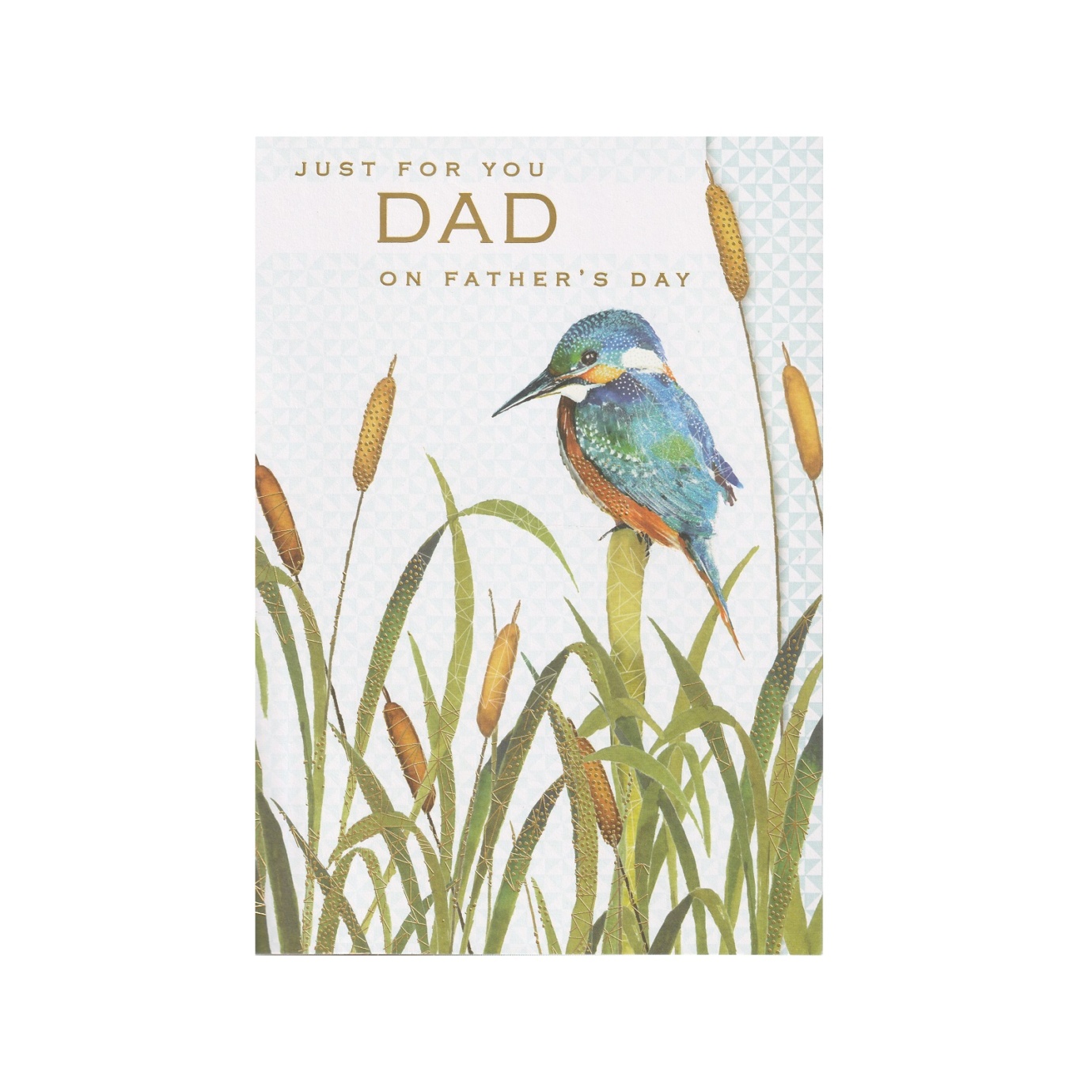 Gifts Greetings Nigel Quiney Father's Day Card - 'Just For You Dad On ...